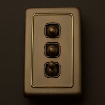 Traditional Antique Brass large plate double rocker switch