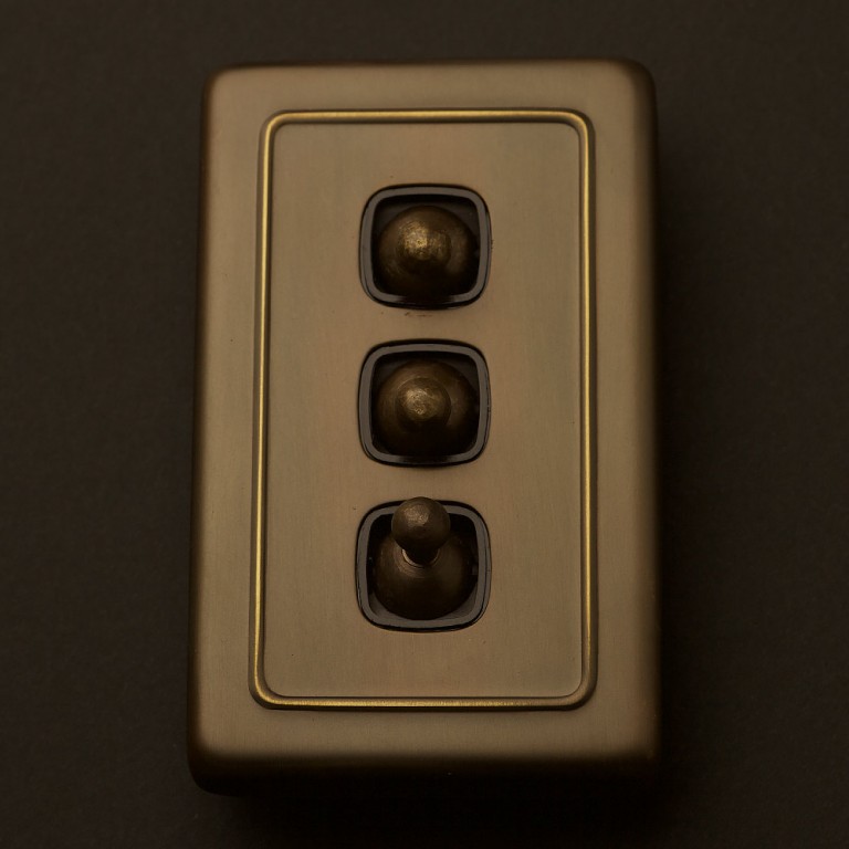 Traditional Antique Brass large plate double rocker switch