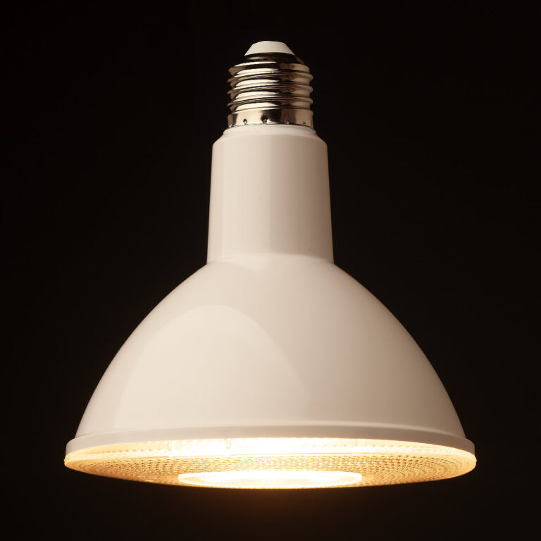 High Intensity Globes - Edison Light Globes Pty Ltd